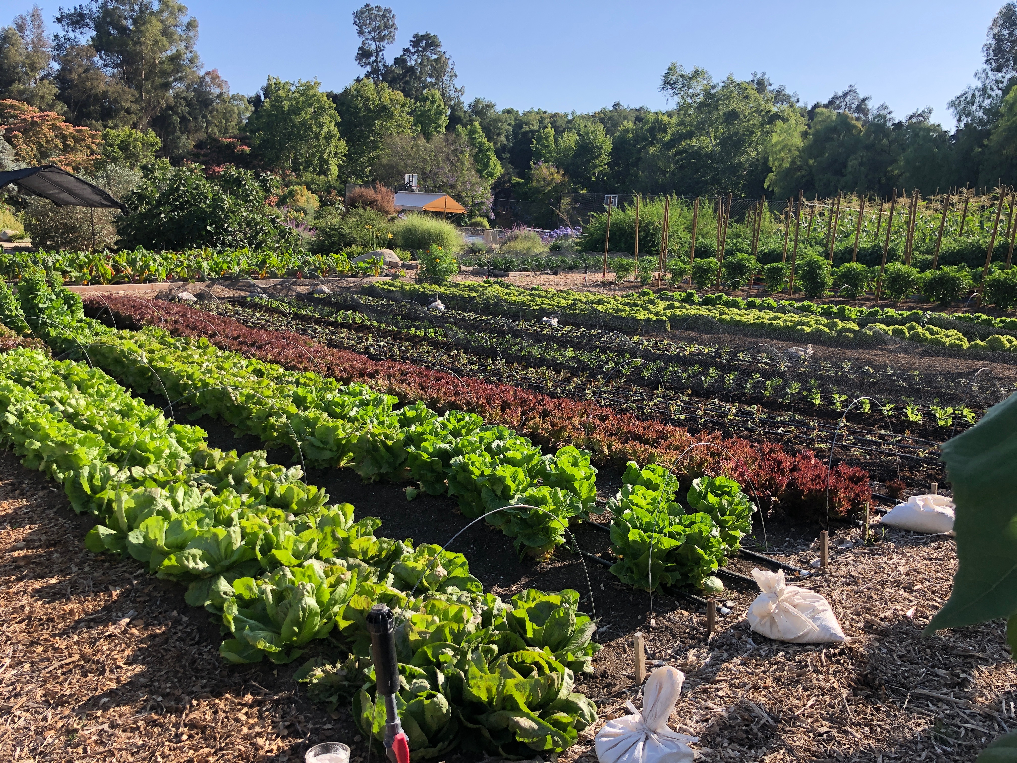 The Small Farm in a Big Food System – On Food Law